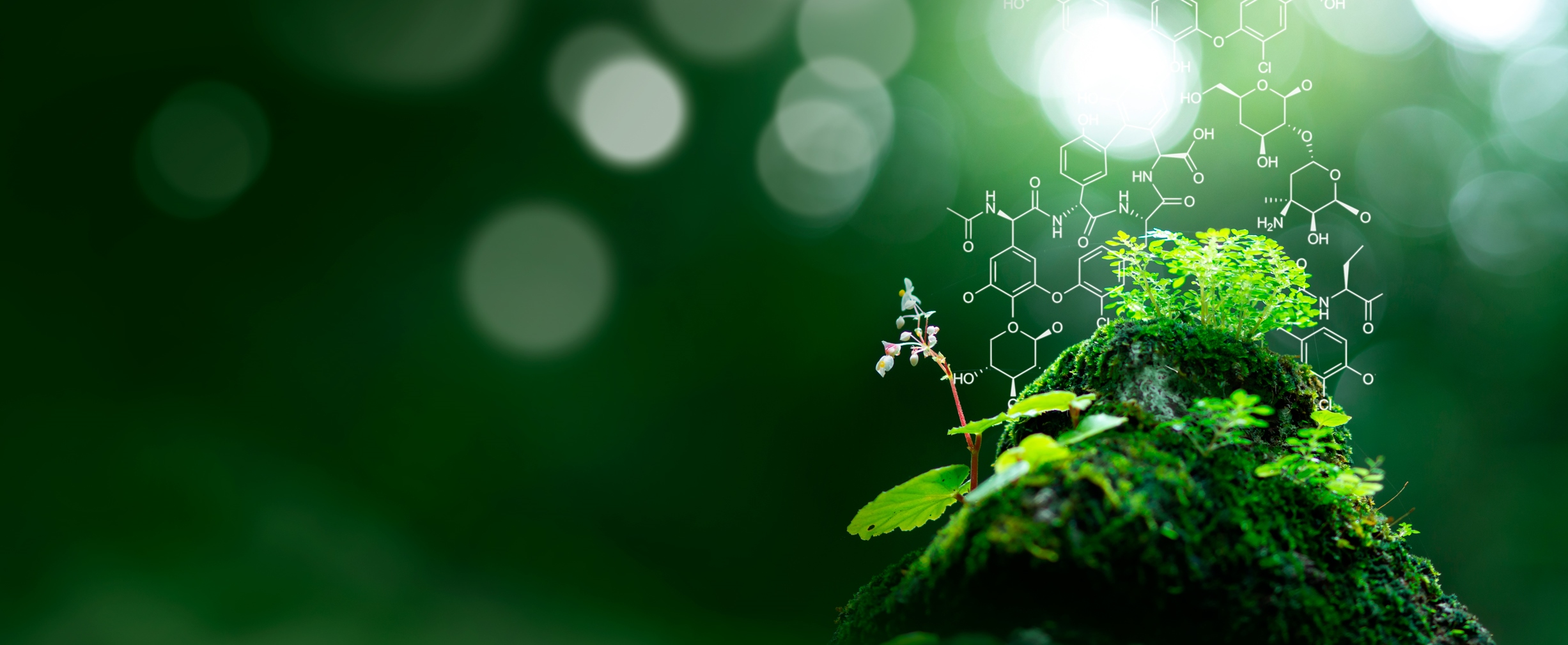 LNBR – Brazilian Biorenewables National Laboratory