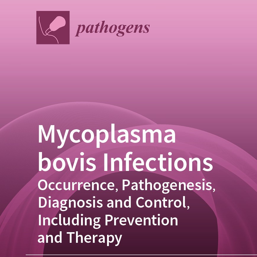 LNBR | Research Highlights – LNBR